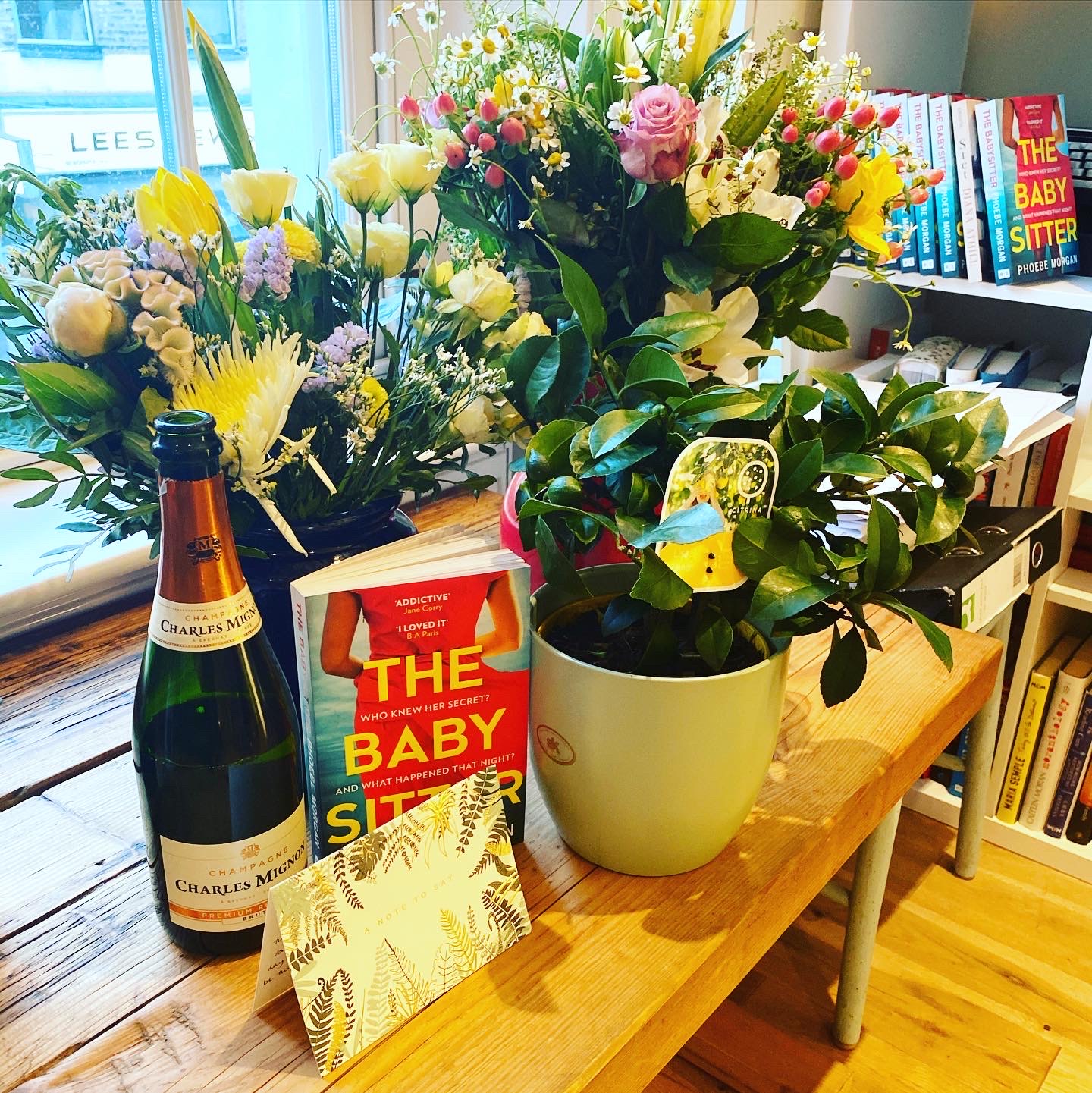 Phoebe Morgan – Author and Editor